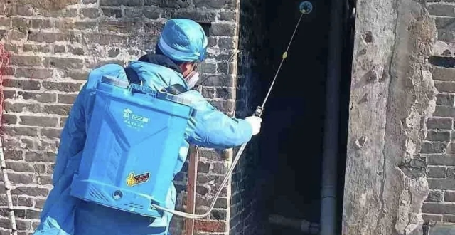 灭越冬蚊护健康，江门全域齐发力_腾讯新闻