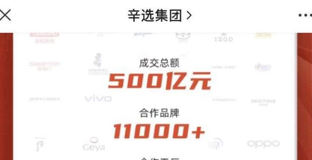 辛选集团2022年GMV达500亿元，下单用户超8000万_腾讯新闻