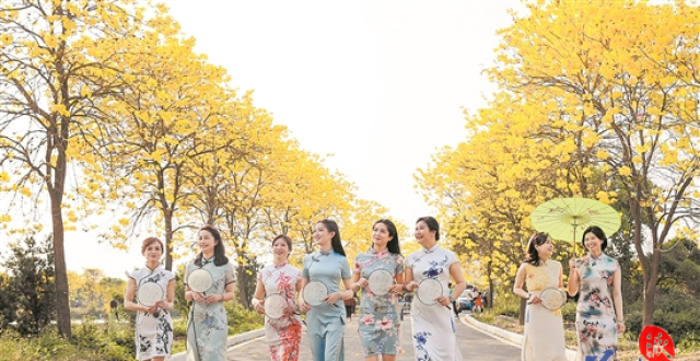 Video｜Lingnan bonsai brings prosperity to rural tourism in Guangdong！ _腾讯新闻