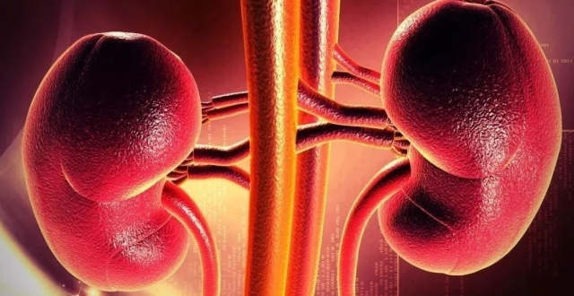 13亿美元！诺和诺德加码肾科布局，收购亨利医药MRA拮抗剂ocedurenone_腾讯新闻