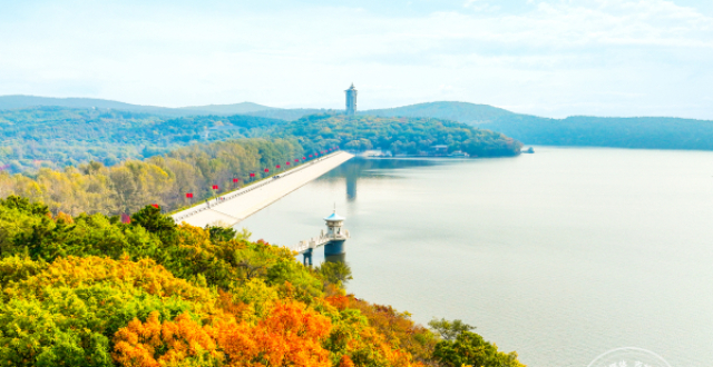 新发路观察｜一叶知心，一叶知城_腾讯新闻