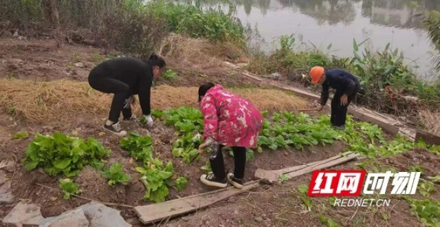 南县中鱼口镇：整治河道围垦“蔬菜园” 保护河湖生态环境腾讯新闻 7758