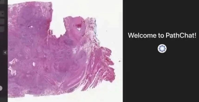 哈佛、麻省推出面向医学多模态助手—PathChat_腾讯新闻