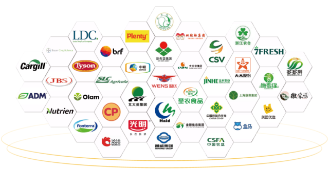 2026 IRID国际乡村发展创新博览会正式启动：科技赋能乡村，创新引领未来_腾讯新闻