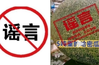 官方辟谣“新疆惊现巨大哈密瓜”：系为哈密瓜节准备的哈密瓜模型_腾讯新闻