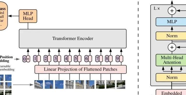 使用JAX实现完整的Vision Transformer_腾讯新闻