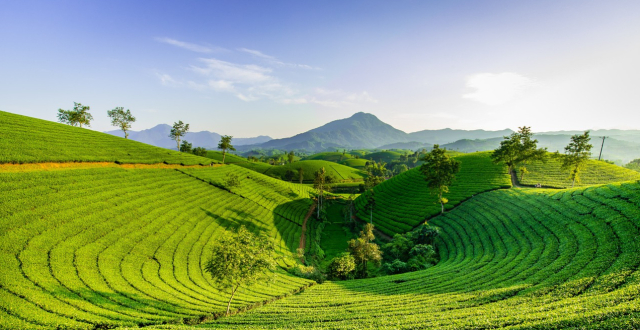 盛威时代港股IPO：204张牌照换不来盈利，网约车业务患上“高德依赖症”_腾讯新闻