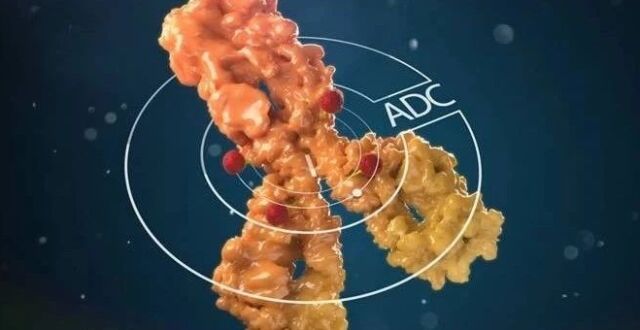 “东不成，西就”！刚宣告罗沙司他研究失利的FibroGen转投ADC赛道，与Fortis达成意向收购，获同类首创CD46 ADC_腾讯新闻
