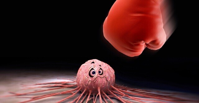 君实生物注射用JS212用于晚期恶性实体瘤获批临床_腾讯新闻