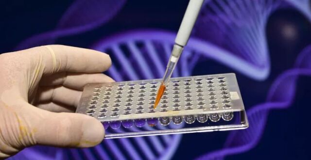 刘如谦教授重磅《自然》综述：DNA编码化合物库如何加速新药分子的发现过程_腾讯新闻