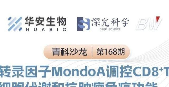 青科沙龙第168期 | Nat Metab-转录因子MondoA调控CD8⁺ T细胞代谢和抗肿瘤免疫功能的机理研究_腾讯新闻