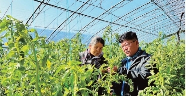 小而精 优而特_腾讯新闻