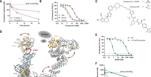 高效降解13种常见KRAS突变体，创新PROTAC分子登《科学》_腾讯新闻
