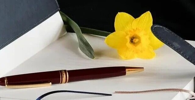 2025年文学理论评论高频词发布_腾讯新闻