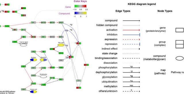 20W+喜爱的Pathview网页版 | 整合表达谱数据KEGG通路可视化_腾讯新闻