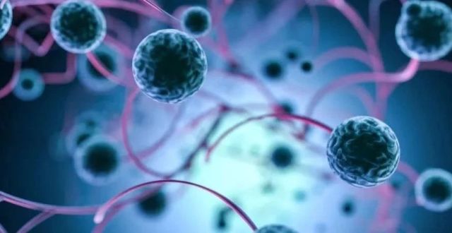 2023 ASCO GU，前列腺癌临床进展抢先看！阿斯利康、默沙东、强生、Bellicum、Ambrx发布最新研究数据_腾讯新闻