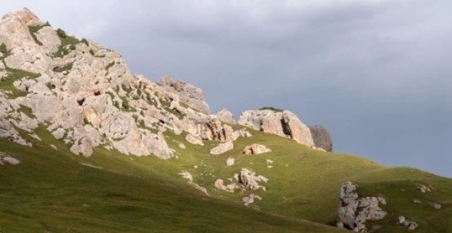 标配TOD智能四驱系统+Mlock机械锁止 第二代哈弗H9开启预售_腾讯新闻