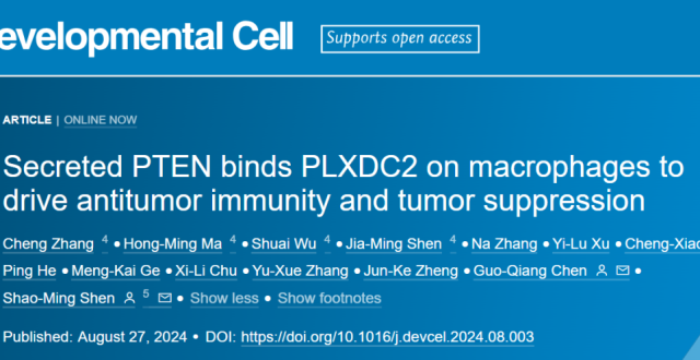 Dev Cell | 陈国强团队报道PTEN作为细胞因子通过结合其在巨噬细胞表面特异表达的PLXDC2受体驱动抗肿瘤免疫_腾讯新闻