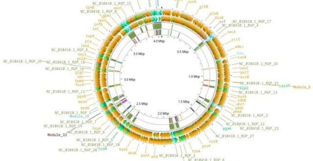 Proksee - 单菌基因组圈图工具-1_腾讯新闻