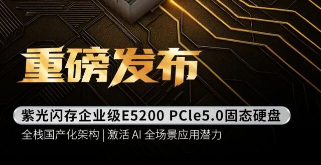紫光闪芯推出全栈国产化企业级 PCIe 5.0 固态硬盘紫光闪存 E5200_腾讯新闻