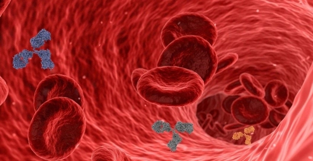 Cell Rep Med | 浙江大学黄河/钱鹏旭/胡永仙发现增强CAR-T细胞免疫治疗效果的新策略_腾讯新闻