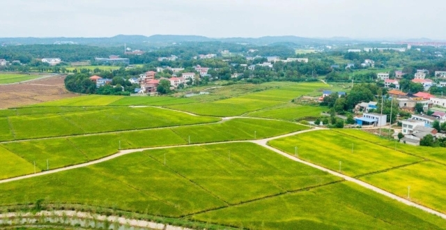 给沃土“搬家”，总共分几步？_腾讯新闻