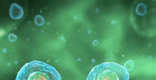 Cell Rep | 研究揭示男性和女性对压力产生反应的脑细胞类型差异_腾讯新闻