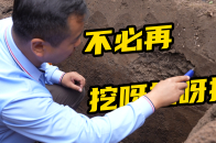 如果黑土地可以做CT_腾讯新闻