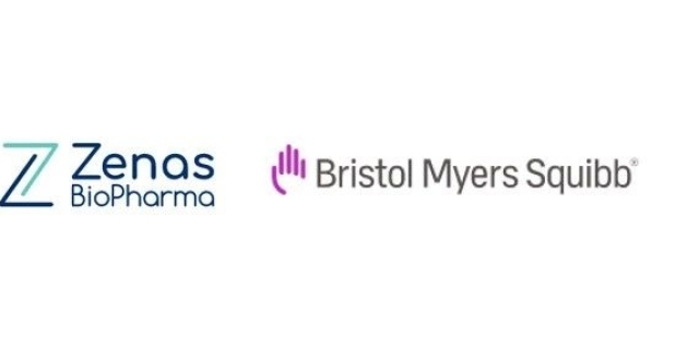 首付款5000万美元！BMS与Zenas达成合作，推进新型抗体Obexelimab开发_腾讯新闻