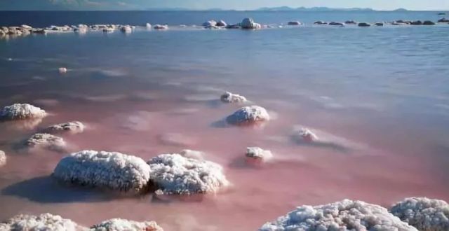 从定性到定量：煤和蒸发岩的形成与气候环境的关系｜NSR论文_腾讯新闻