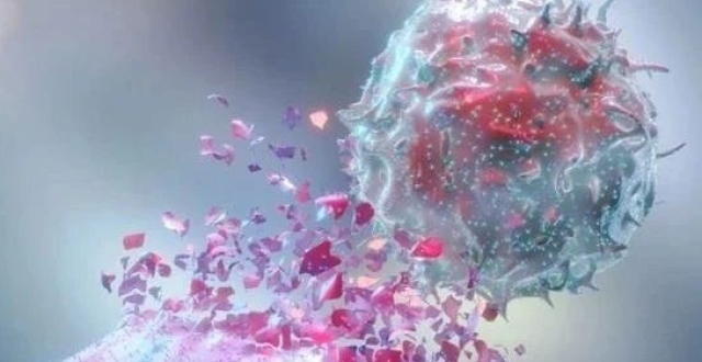 mRNA、CAR-T 珠联璧合！科济药业与美德纳合作评估CT041与mRNA癌症疫苗联合使用疗效_腾讯新闻