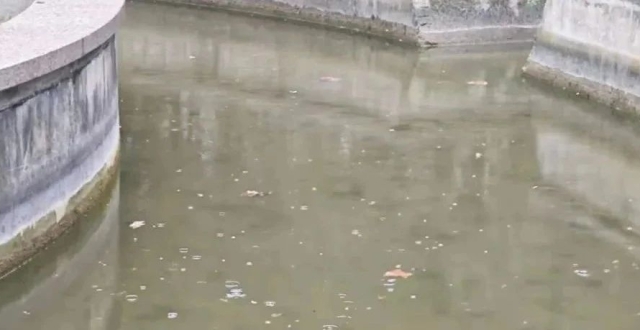 就挺突然的！本周上海大风大雨齐来，还有打雷+薄冰！四个区降温达寒潮标准_腾讯新闻