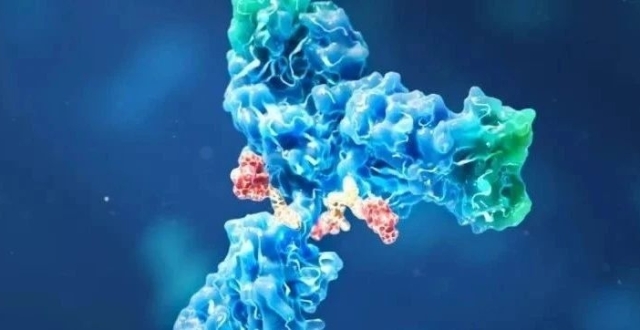 超10亿美元!宜联生物与BioNTech达成战略合作,共同开发靶向HER3 ADC_腾讯新闻