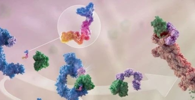 PROTAC先锋--Arvinas：公布ARV-766的1/2期试验的最新积极数据_腾讯新闻