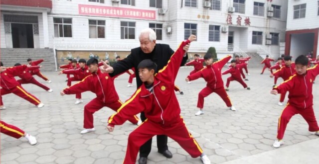 武术大师梁以全 获授“荣誉专家”_腾讯新闻