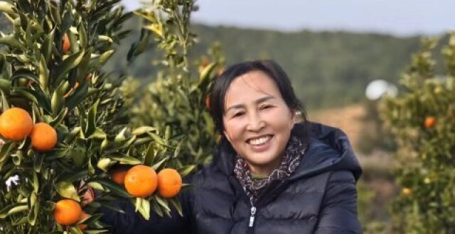 开屏人物｜杨学红：扎根泥土写忠诚，人间烟火见初心_腾讯新闻