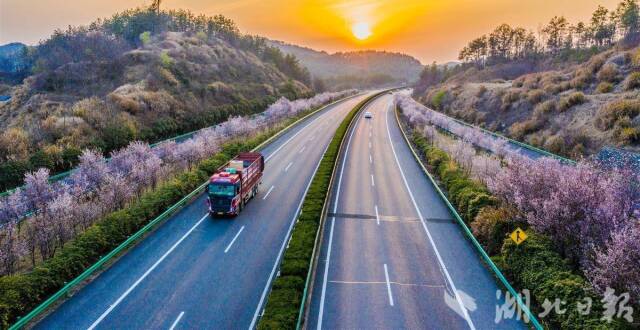 从“歇一脚”到“玩一天” 清明假期500万辆小车免费游荆楚_腾讯新闻