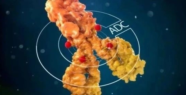 18.25亿美元！宜联生物与BioNTech就多靶点TMALIN ADC技术平台达成授权协议_腾讯新闻