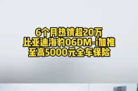 6个月热销超20万，海豹06DM-i加推至高5000元全险_腾讯新闻
