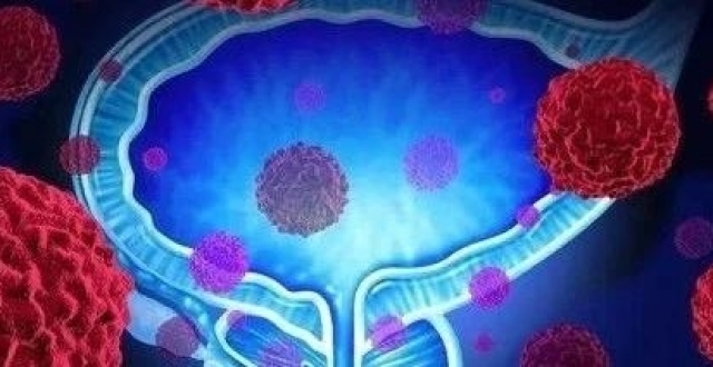 全球首个IL-15药物获批！ImmunityBio的Anktiva获FDA批准用于治疗卡介苗不响应的非肌肉浸润性膀胱癌_腾讯新闻
