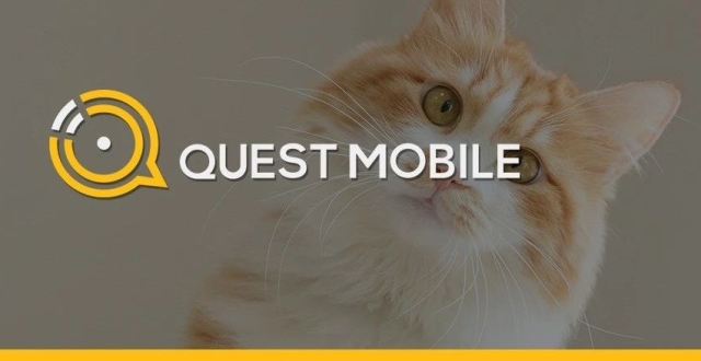 QuestMobile 2023宠物消费市场洞察：3.23亿用户撑起宠物经济，小众应用高速增长，“街猫”四个月用户破百万……_腾讯新闻