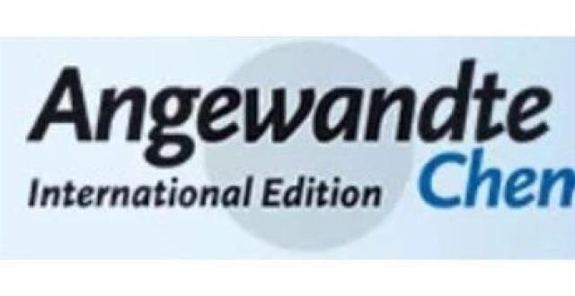 南方科技大学田雷蕾《Angew》：NIR-II发光的寡核苷酸接枝π-共轭聚合物用于低温光热和基因联合治疗_腾讯新闻