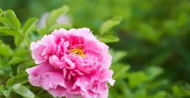 情感爆文：相爱却不能在一起，这是爱情最大的遗憾！_腾讯新闻