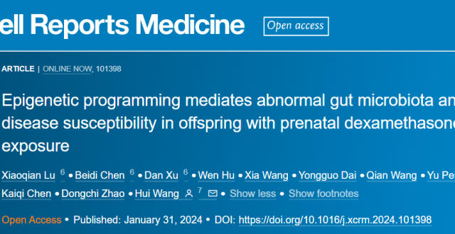 Cell Rep Med | 武汉大学汪晖团队揭示产前地塞米松暴露对后代肠道菌群和疾病易感性的影响机制_腾讯新闻