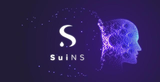 Sui Name Service (NS) 暴涨，项目潜力爆发还是昙花一现？_腾讯新闻