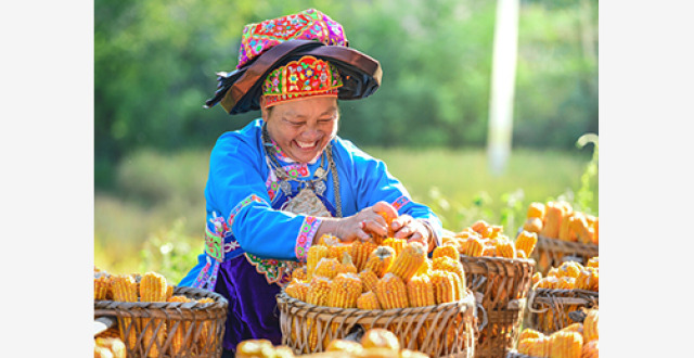 国家统计局：2023年全国粮食总产量69541万吨 同比增长1.3%_腾讯新闻
