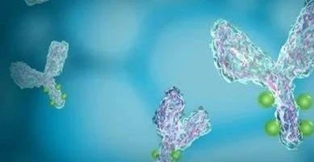 启德医药与Aimed Bio再携手，合作开发5款创新ADC药物（附2023年上半年ADC交易汇总）_腾讯新闻