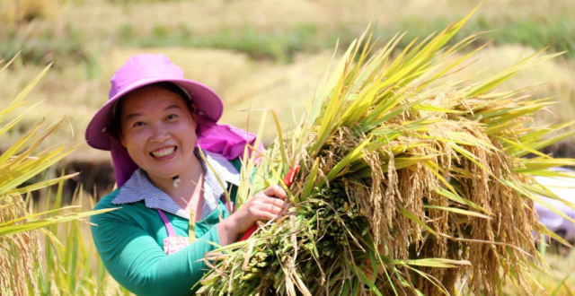 盐津：深入推进“125”发展规划落实绘写发展新图景_腾讯新闻