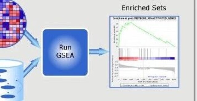一文掌握GSEA，超详细教程！_腾讯新闻