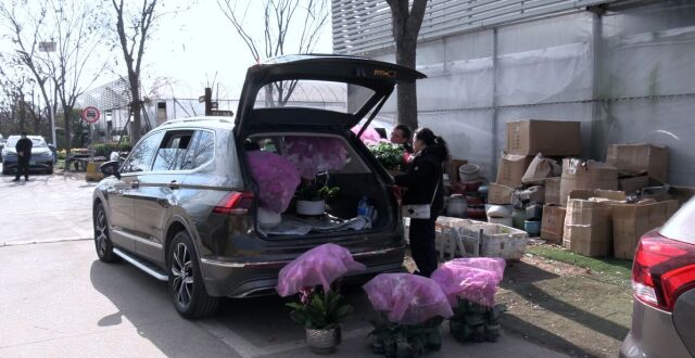 年味渐浓花市旺，虹桥花谷蝴蝶兰成年宵花“顶流”_腾讯新闻